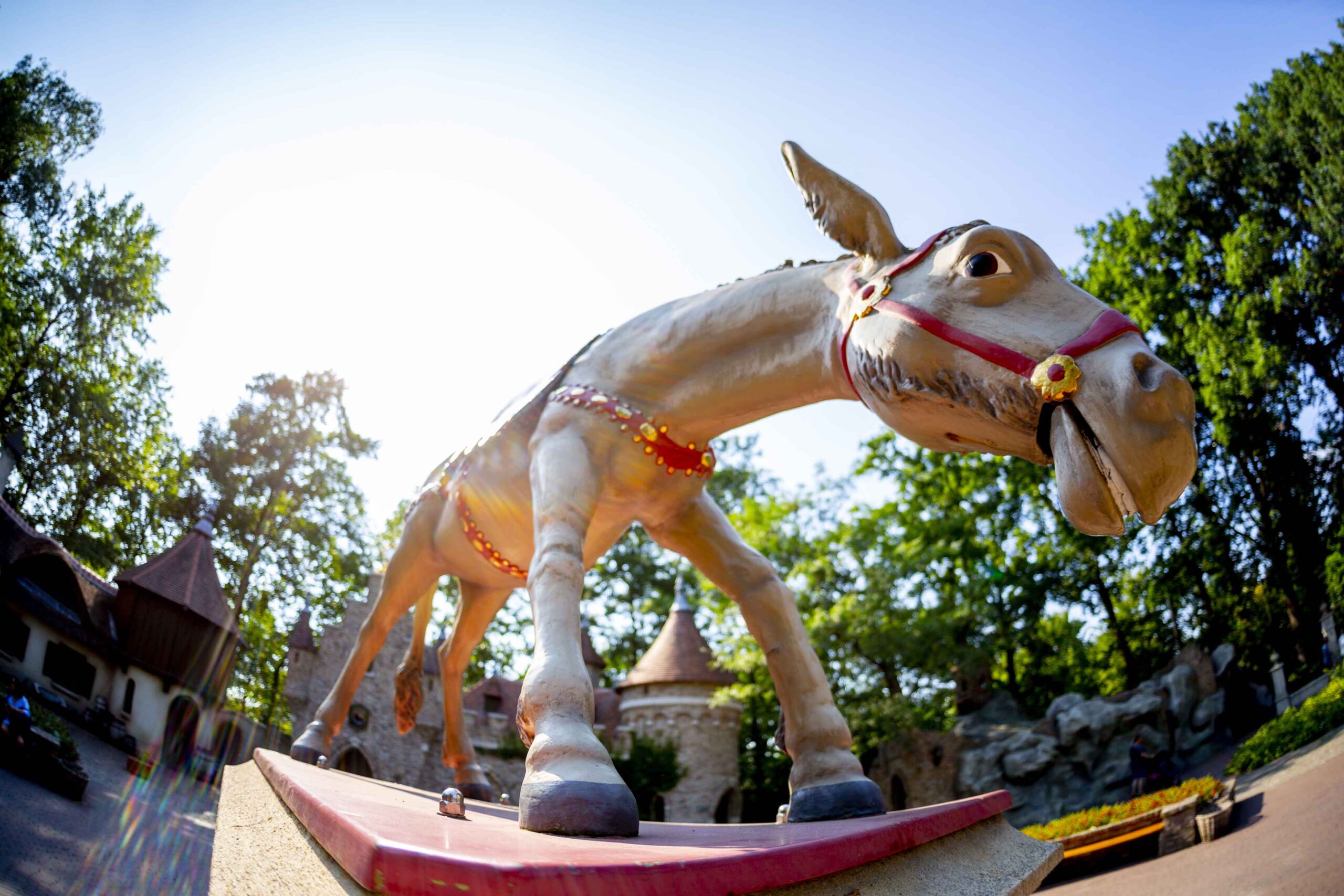 You set the table, stretch the donkey, take the bat out of the bag